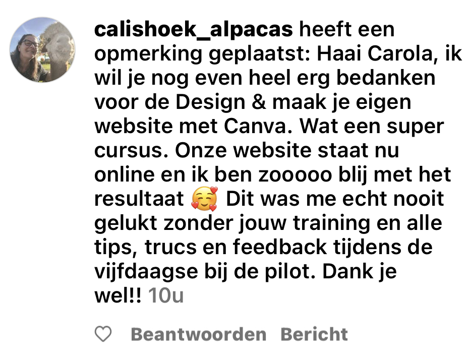 Zomer Bootcamp: Maak je eigen Website met Canva! - Carola Beleeft