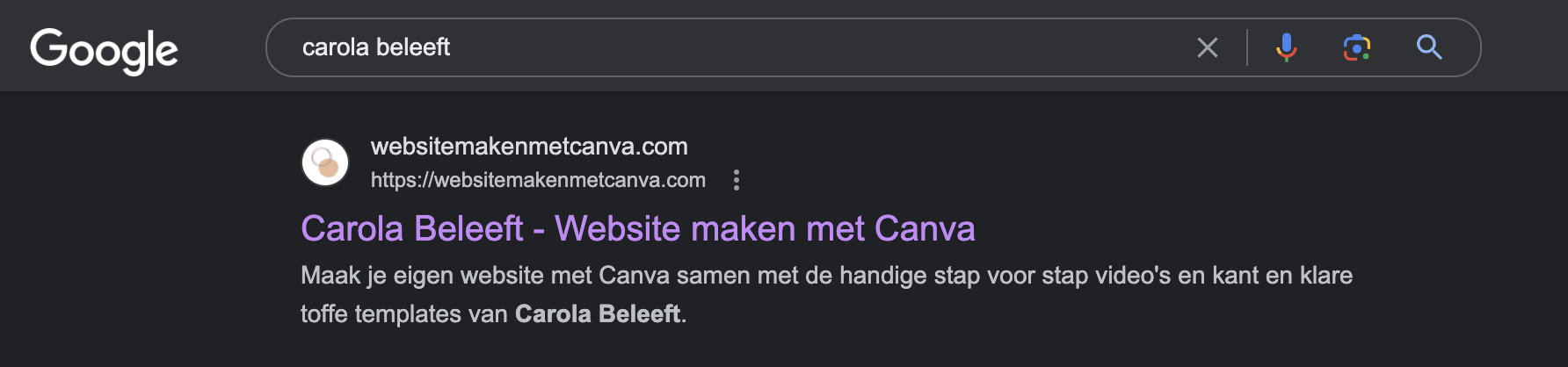 Zomer Bootcamp: Maak je eigen Website met Canva! - Carola Beleeft